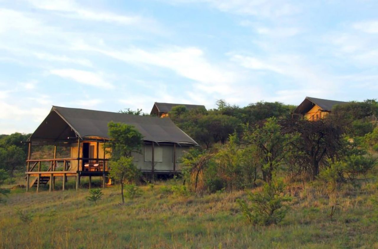 Springbok Lodge - Bushtec Safari