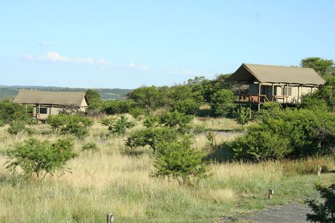 Springbok Luxury Tent - Bushtec Safari